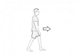 Dynamic Stretching: 62 useful stretches to warm-up with before exercising