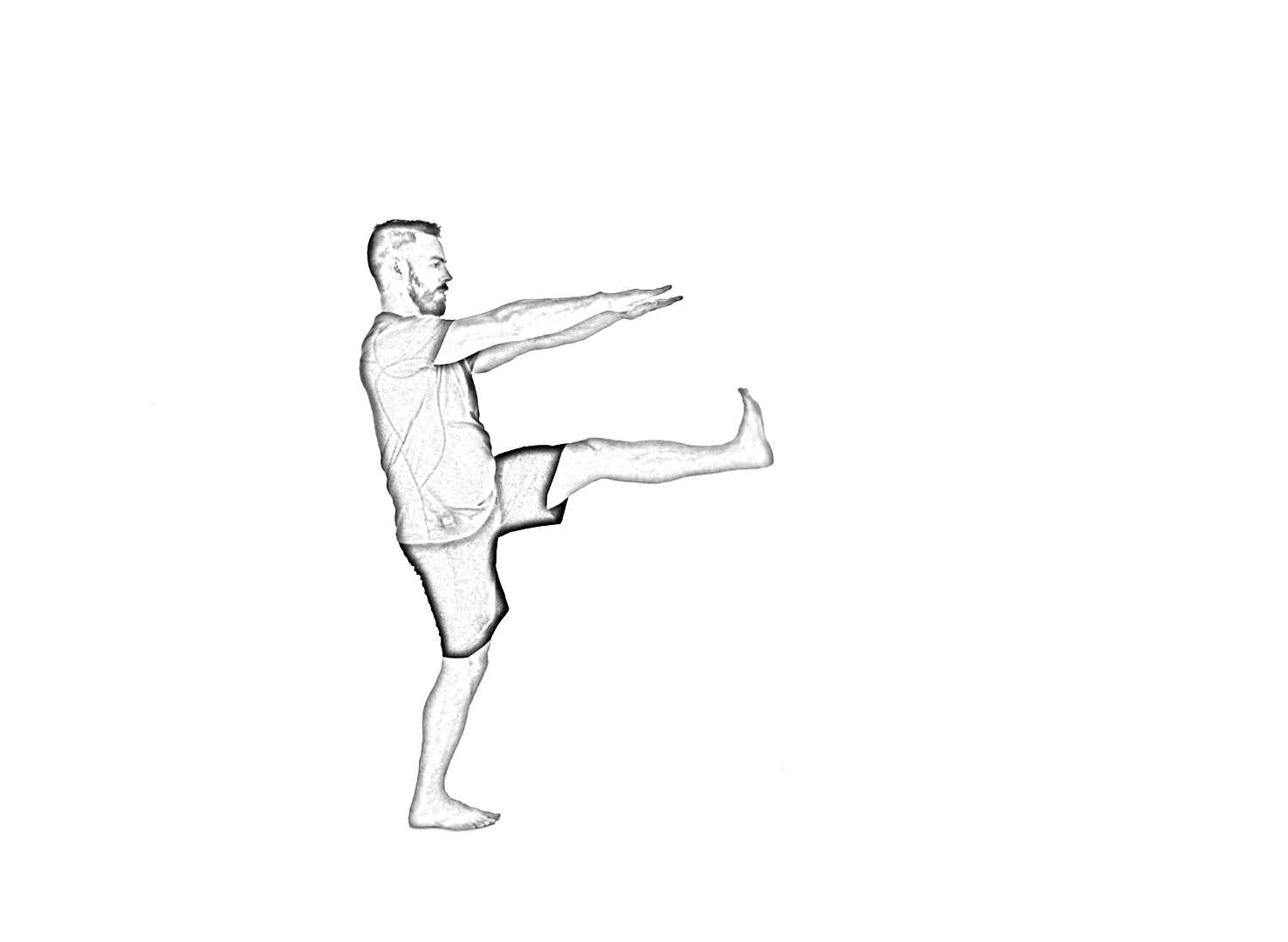 Dynamic Stretching: 62 useful stretches to warm-up with before exercising